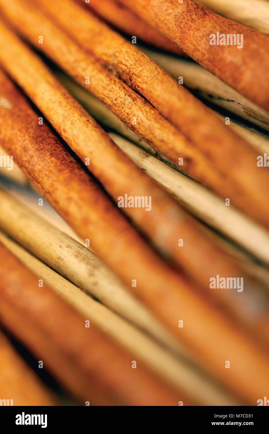Close-up of dried sticks Stock Photo - Alamy