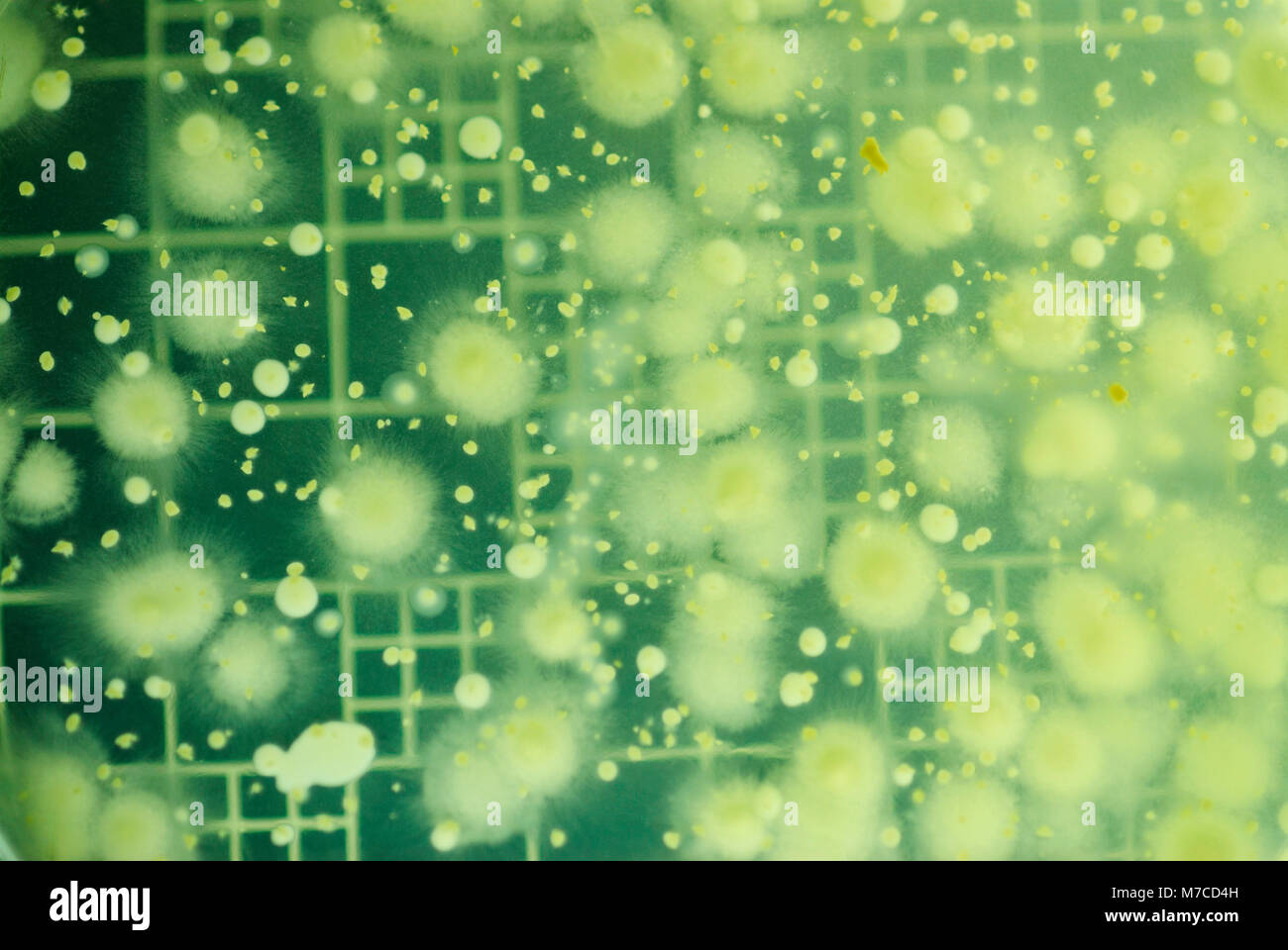 Microscopic view of the molecules of a substance Stock Photo - Alamy