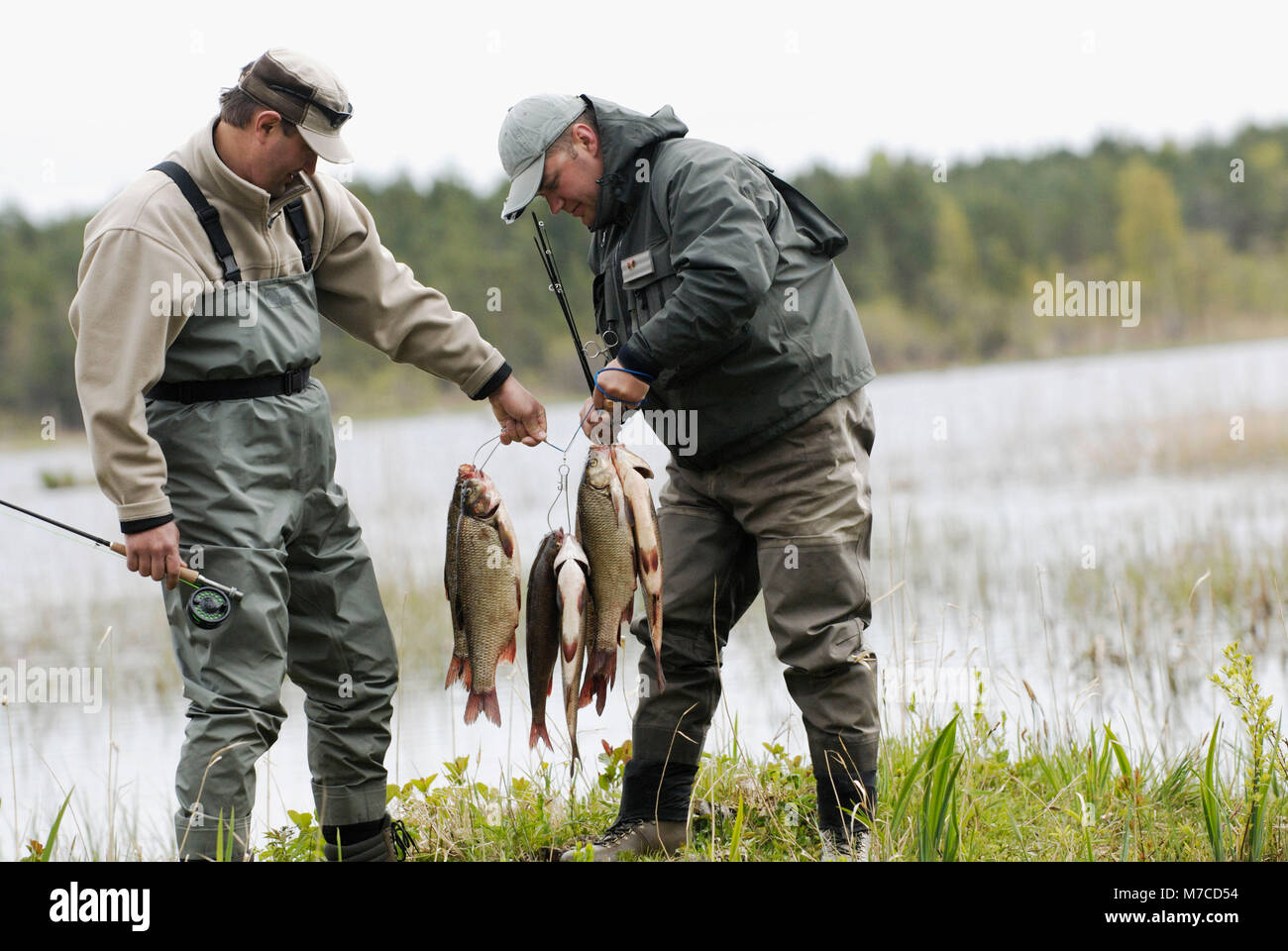 Side profile of two mature men holding fish Stock Photo - Alamy