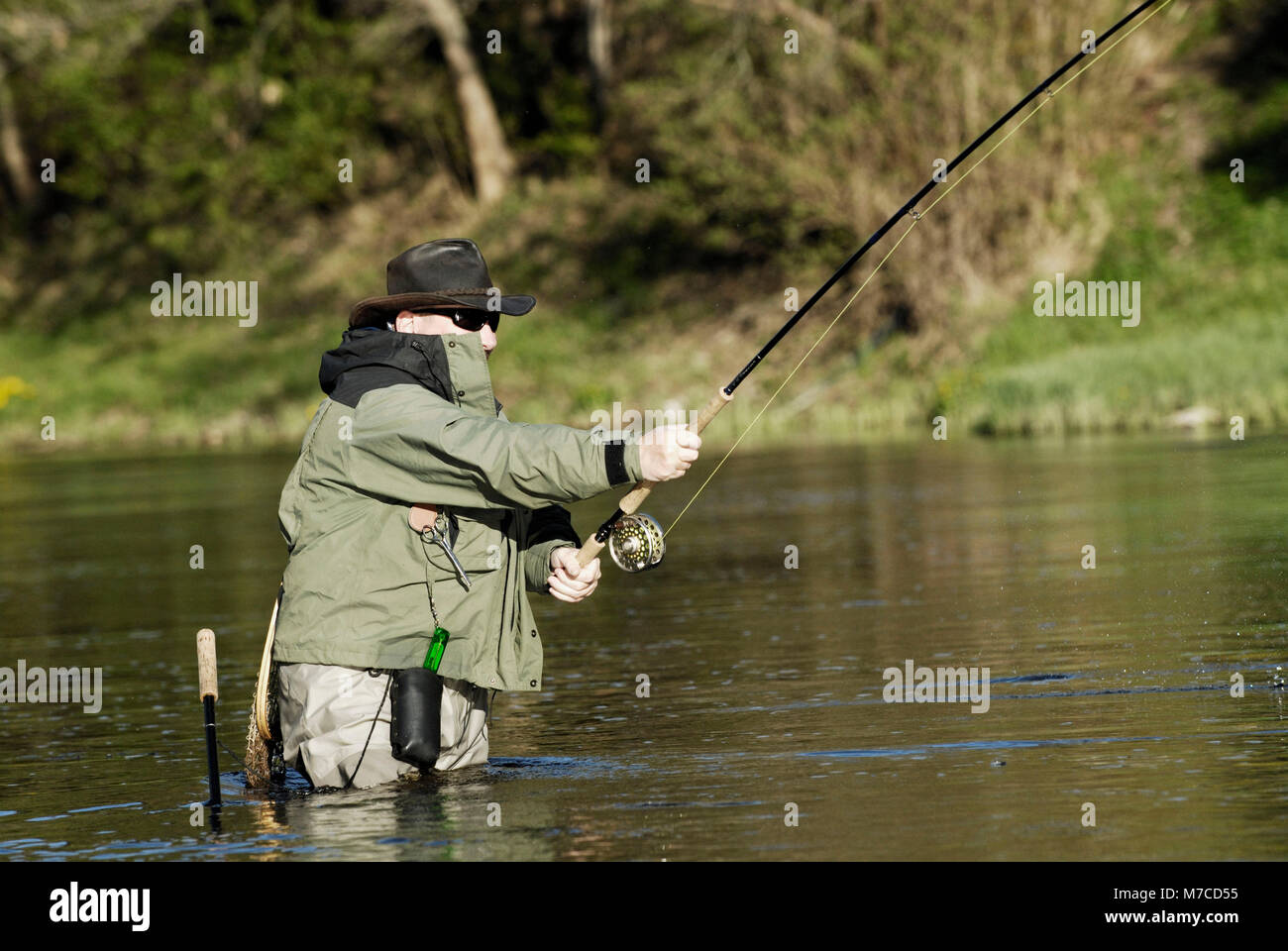 Side profile of a mature man fishing in the river Stock Photo - Alamy