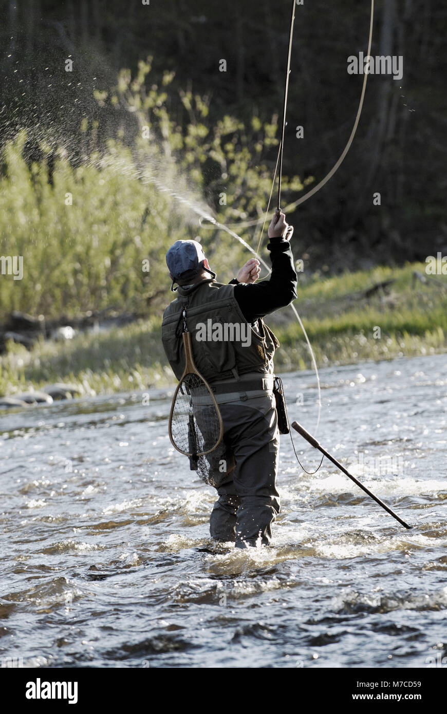Rear view of a man fishing in the river Stock Photo - Alamy