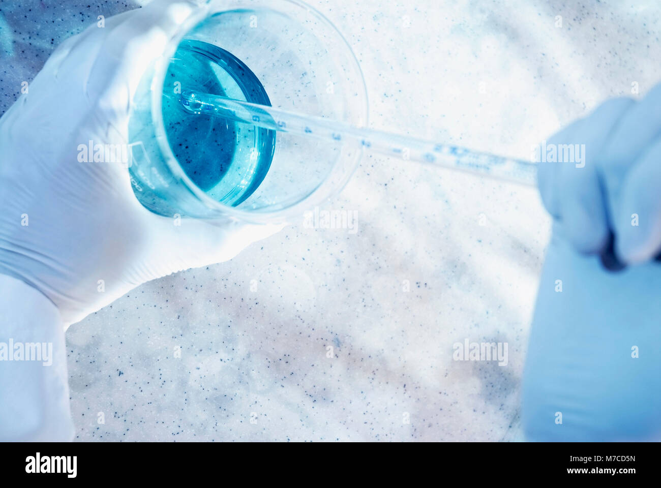 Close-up of a person's hand using a pipette in a beaker Stock Photo - Alamy