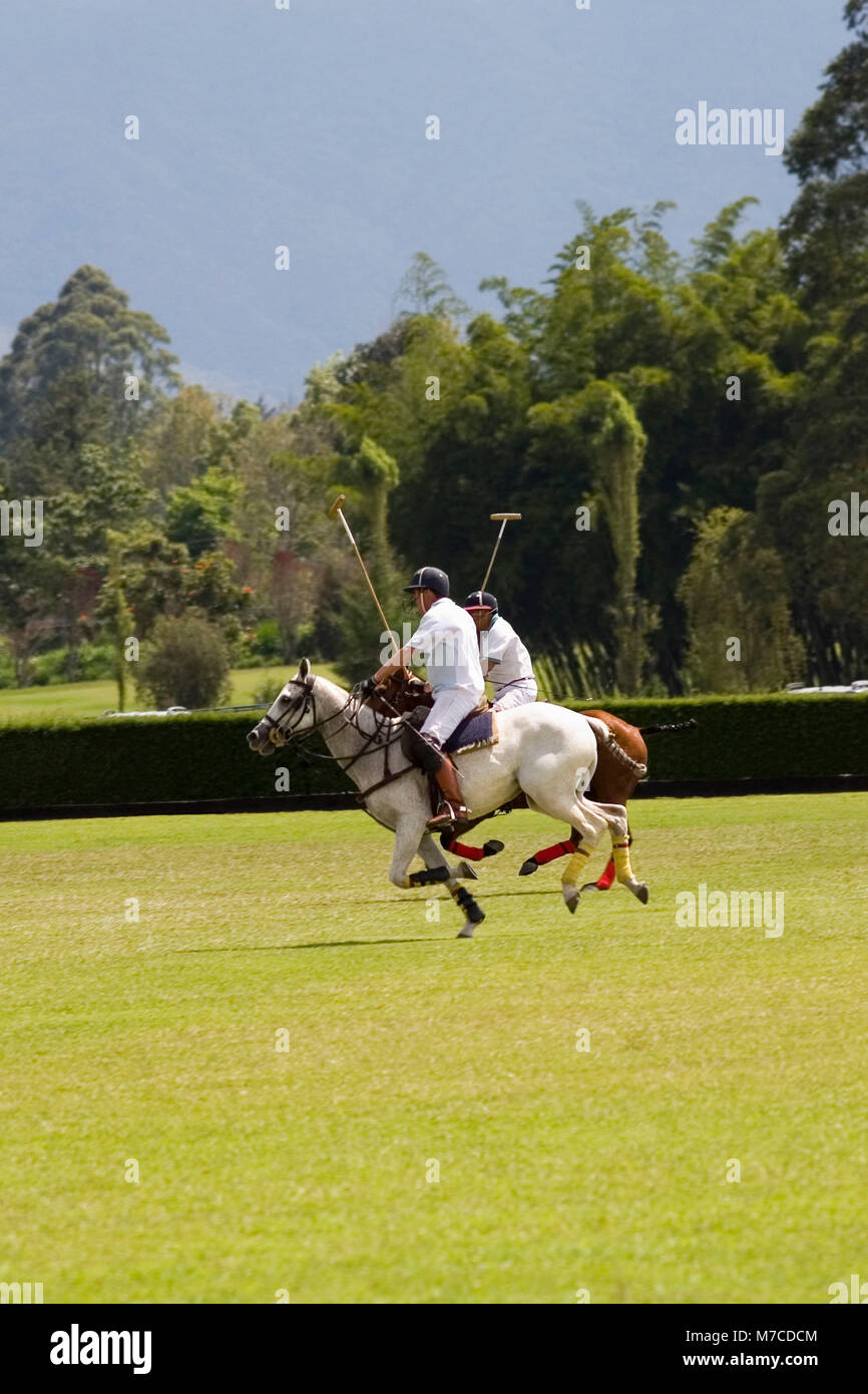 Polo players playing polo on horseback hi-res stock photography and ...
