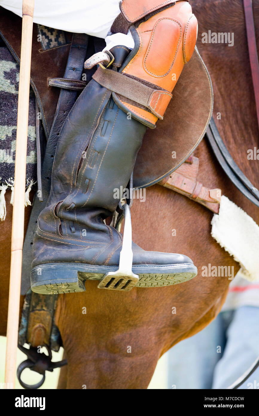 Leg jpg hi-res stock photography and images - Alamy