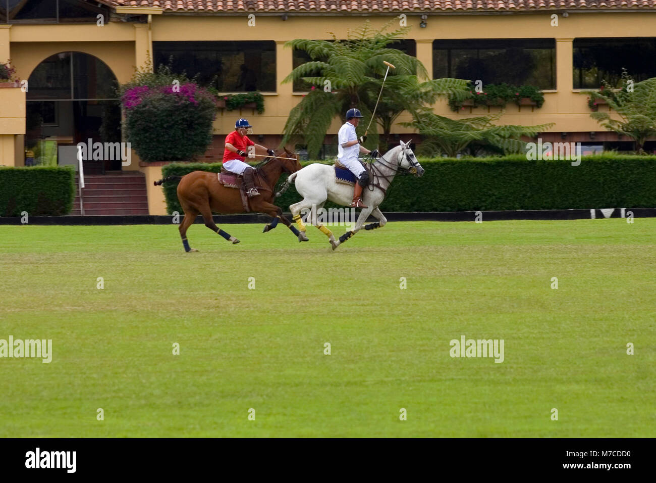 Two polo players playing polo Stock Photo - Alamy