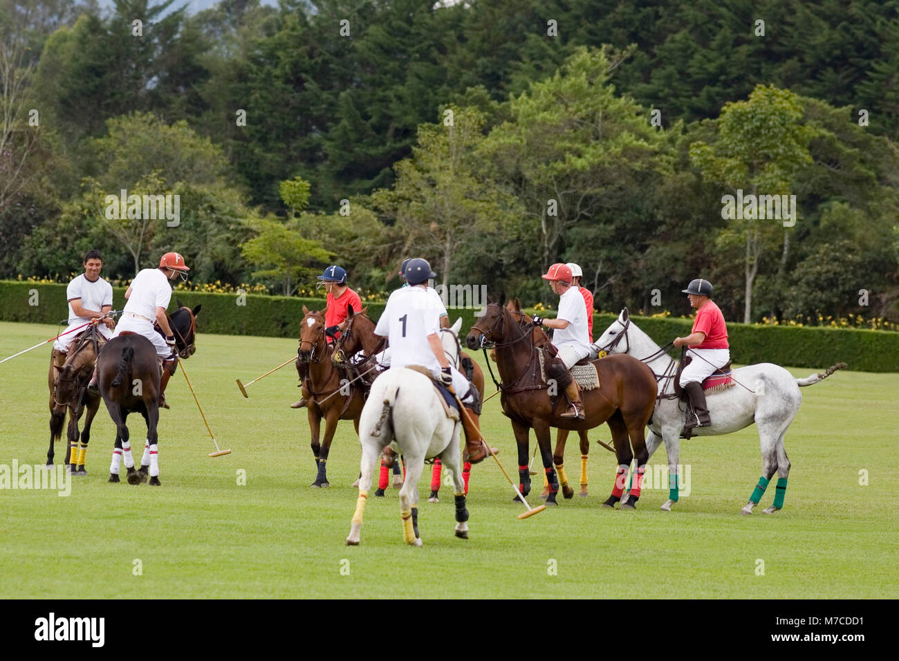 Group of players playing a polo match Stock Photo - Alamy