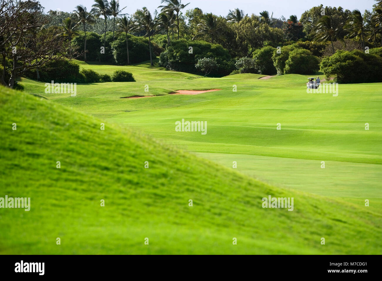 Panoramic view of a golf course Stock Photo - Alamy