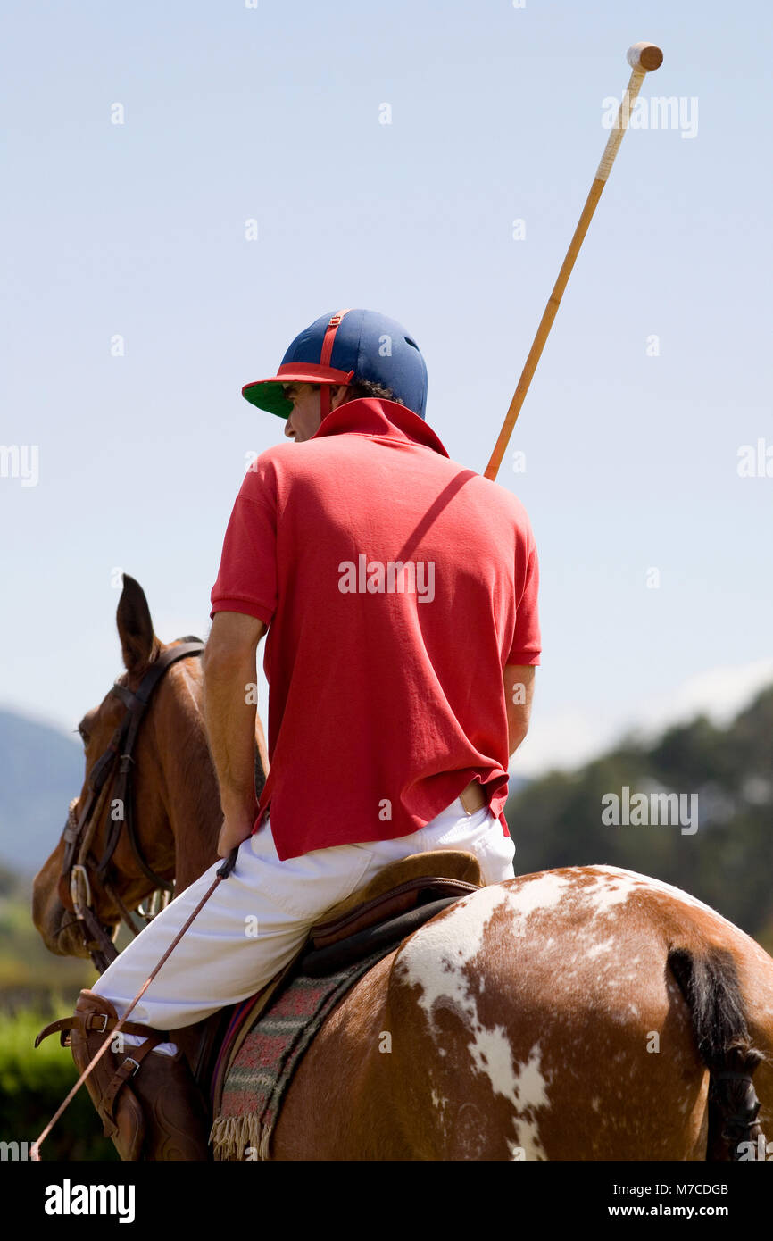 Rear view of a man playing polo Stock Photo - Alamy