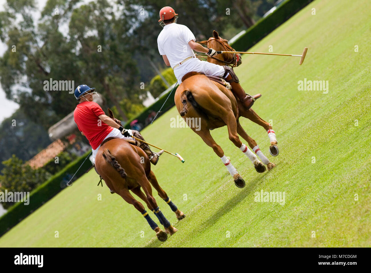 Polo players playing polo on horseback hi-res stock photography and ...