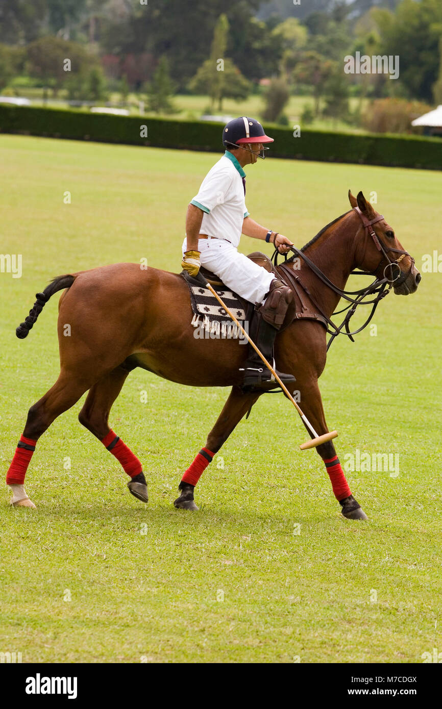 Man playing polo hi-res stock photography and images - Alamy