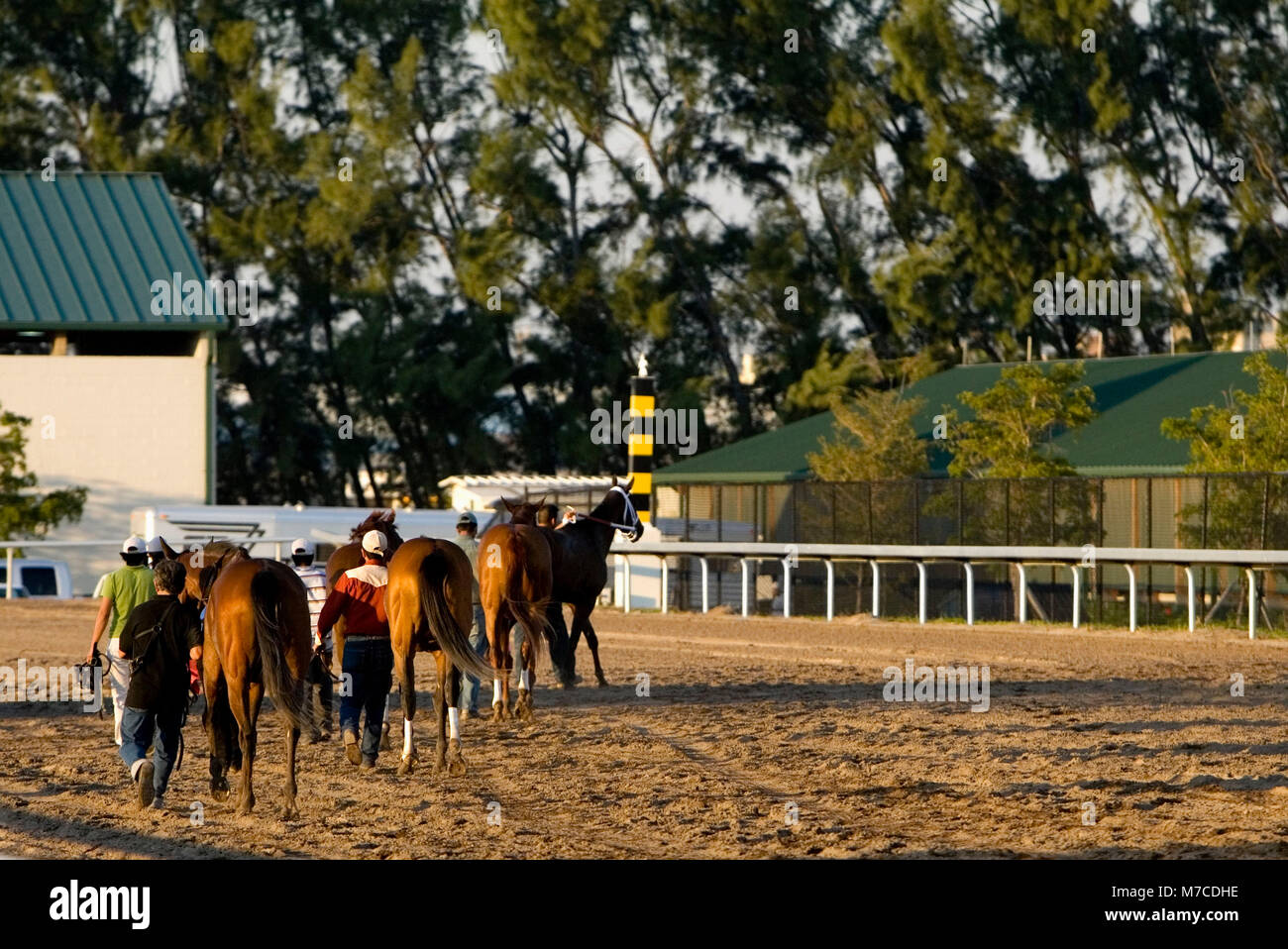 Group of people and racehorses on a horseracing track Stock Photo - Alamy