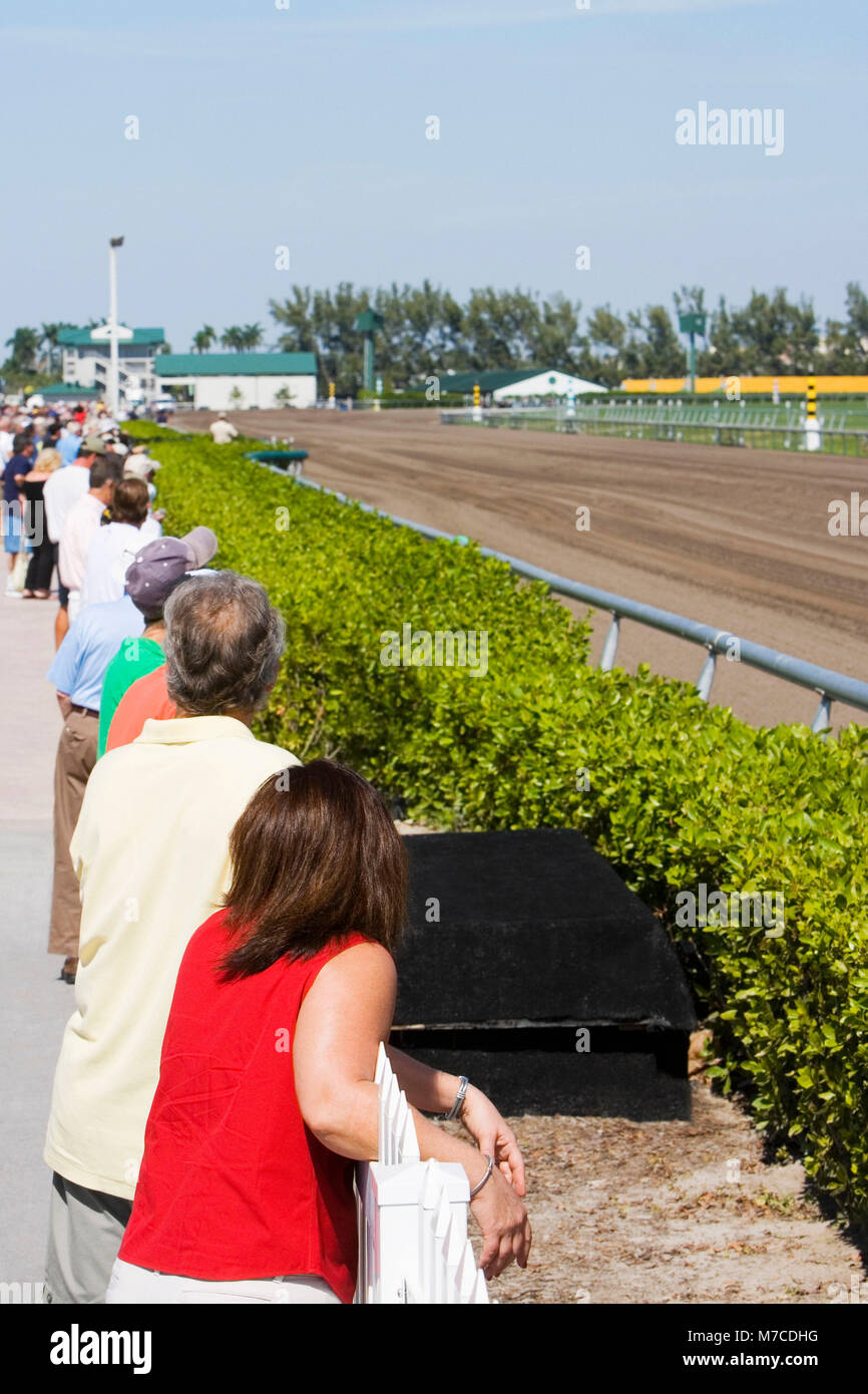 Spectator standing in a stadium looking at a horseracing track hi-res ...