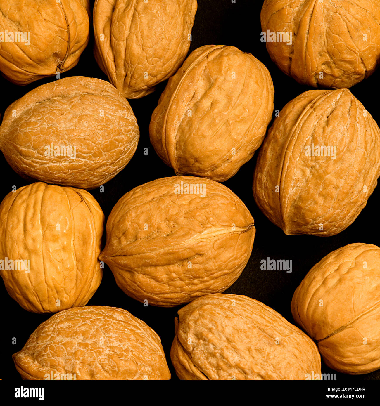 Close-up of walnuts Stock Photo - Alamy