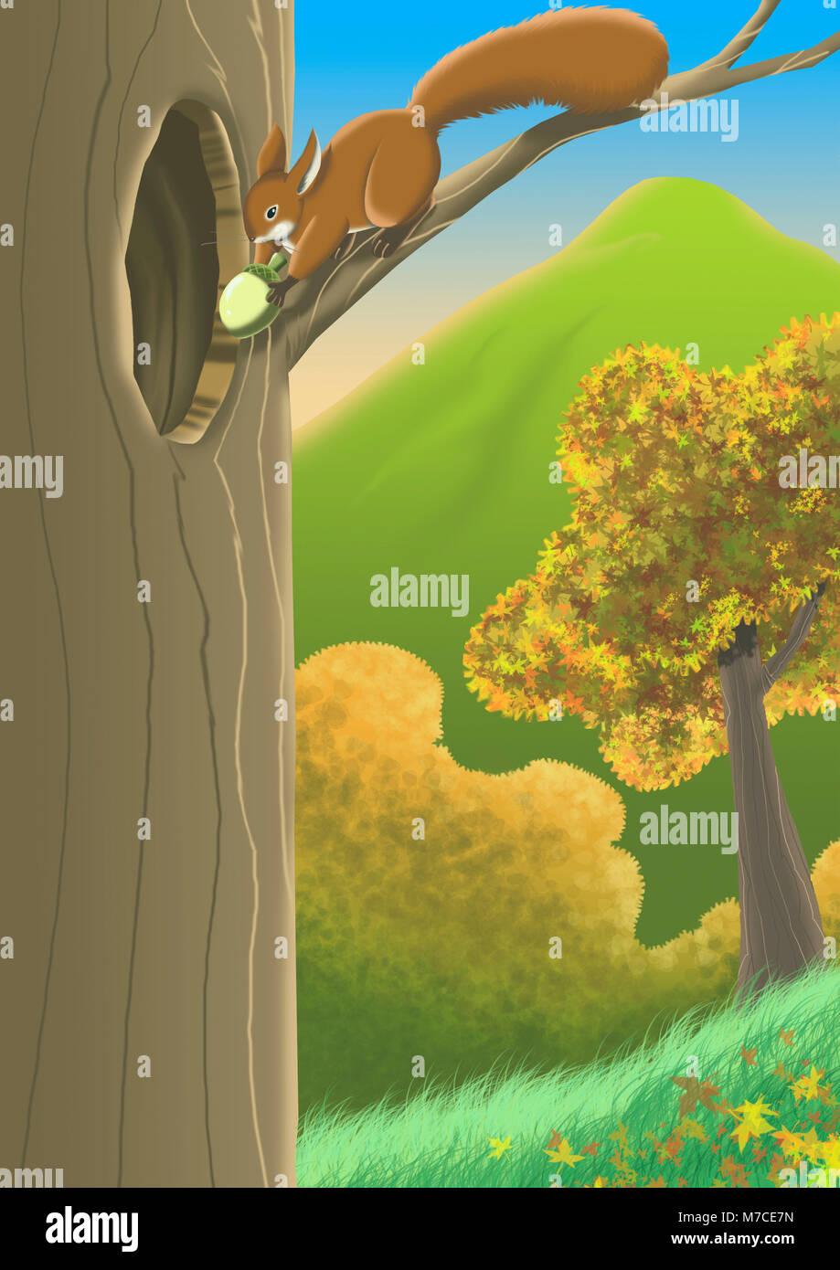 Tree Trunk Hole Squirrel High Resolution Stock Photography and Images ...