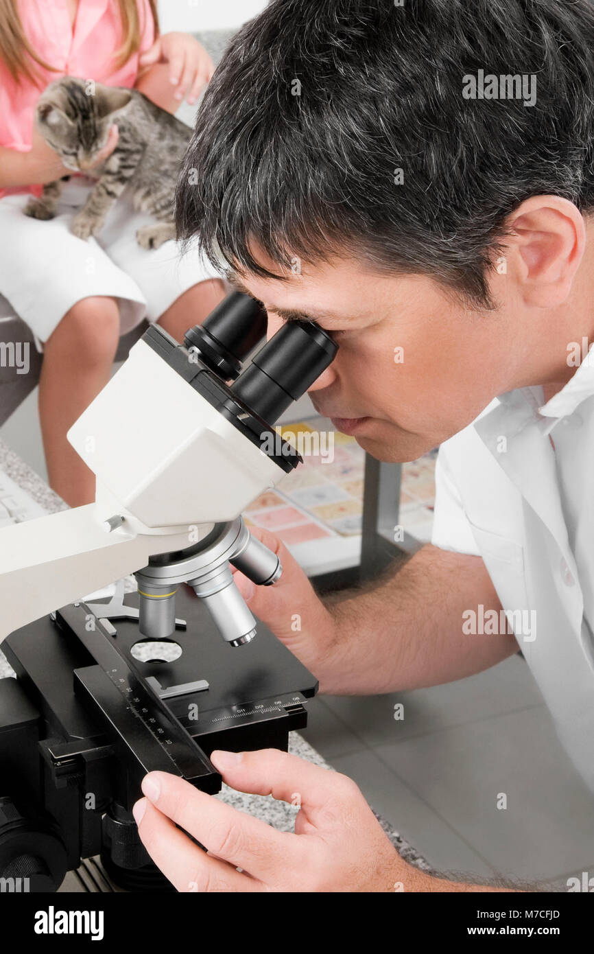 Vet looking into a microscope Stock Photo - Alamy