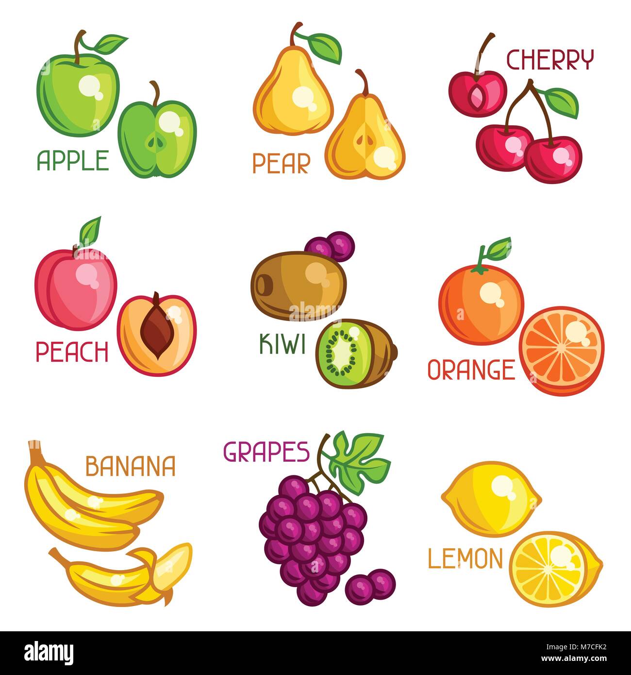 Set of stylized fresh fruits on white background Stock Vector Image ...