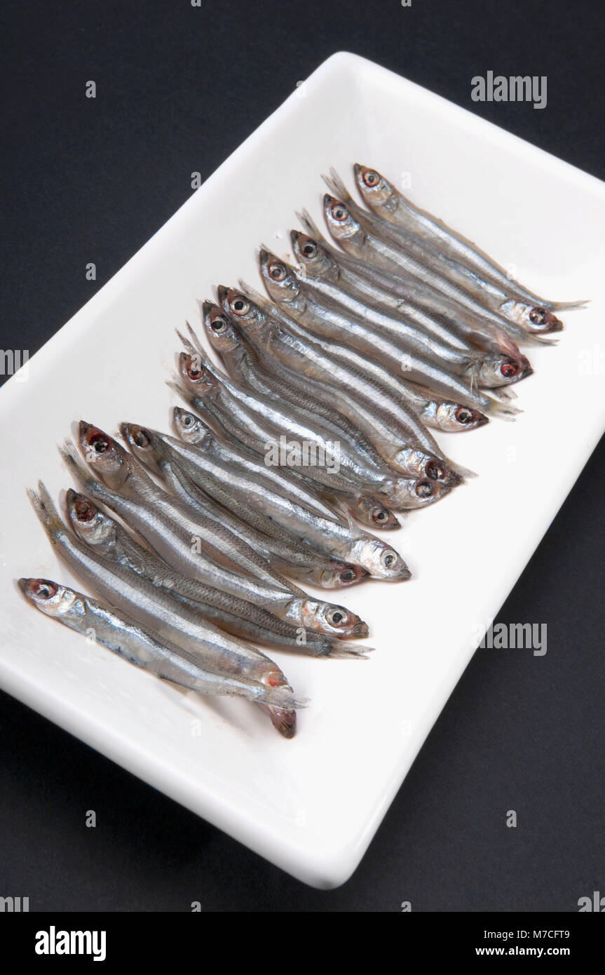 Close-up of sardines Stock Photo - Alamy