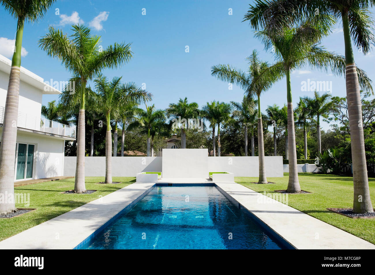 Palm trees along a swimming pool Stock Photo - Alamy