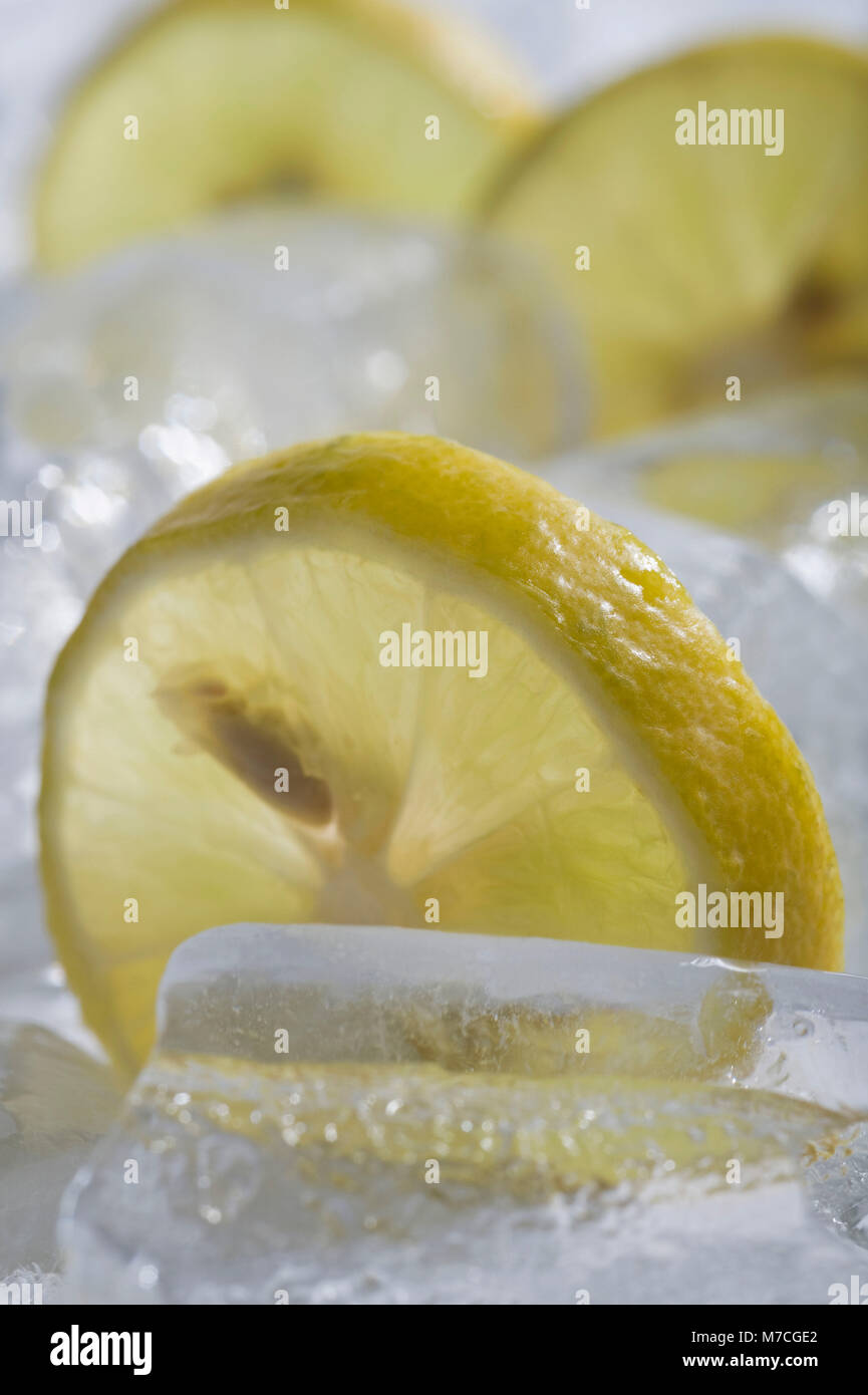 Lemon slices on ice cubes Stock Photo - Alamy