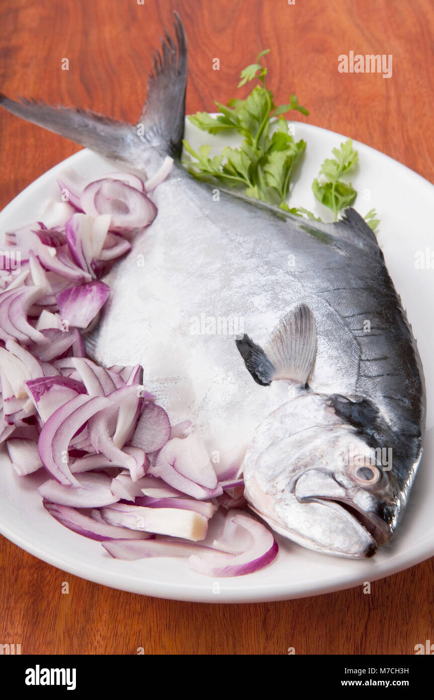 Gcr349164710 hi-res stock photography and images - Alamy