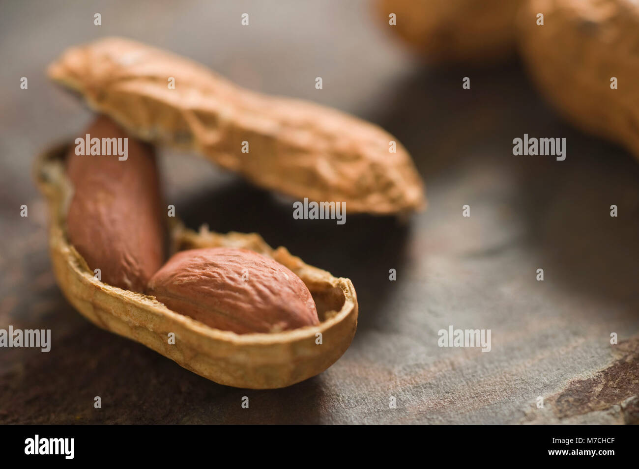 Close-up of an opened peanut Stock Photo - Alamy