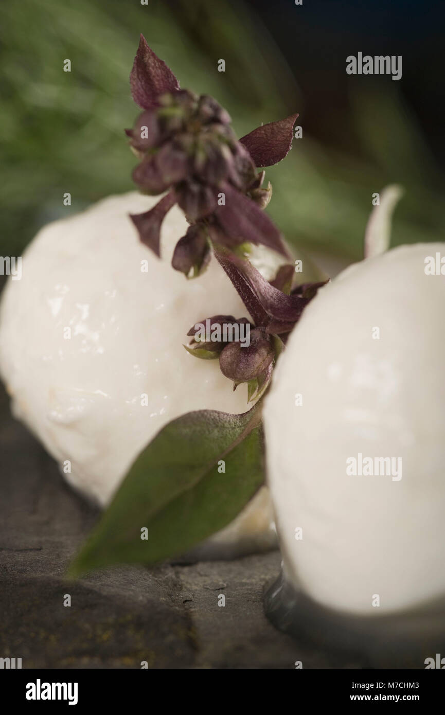 Bocconcini hi-res stock photography and images - Alamy