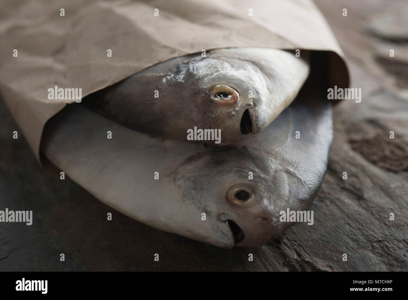 Raw fish wrapped in paper hi-res stock photography and images - Alamy