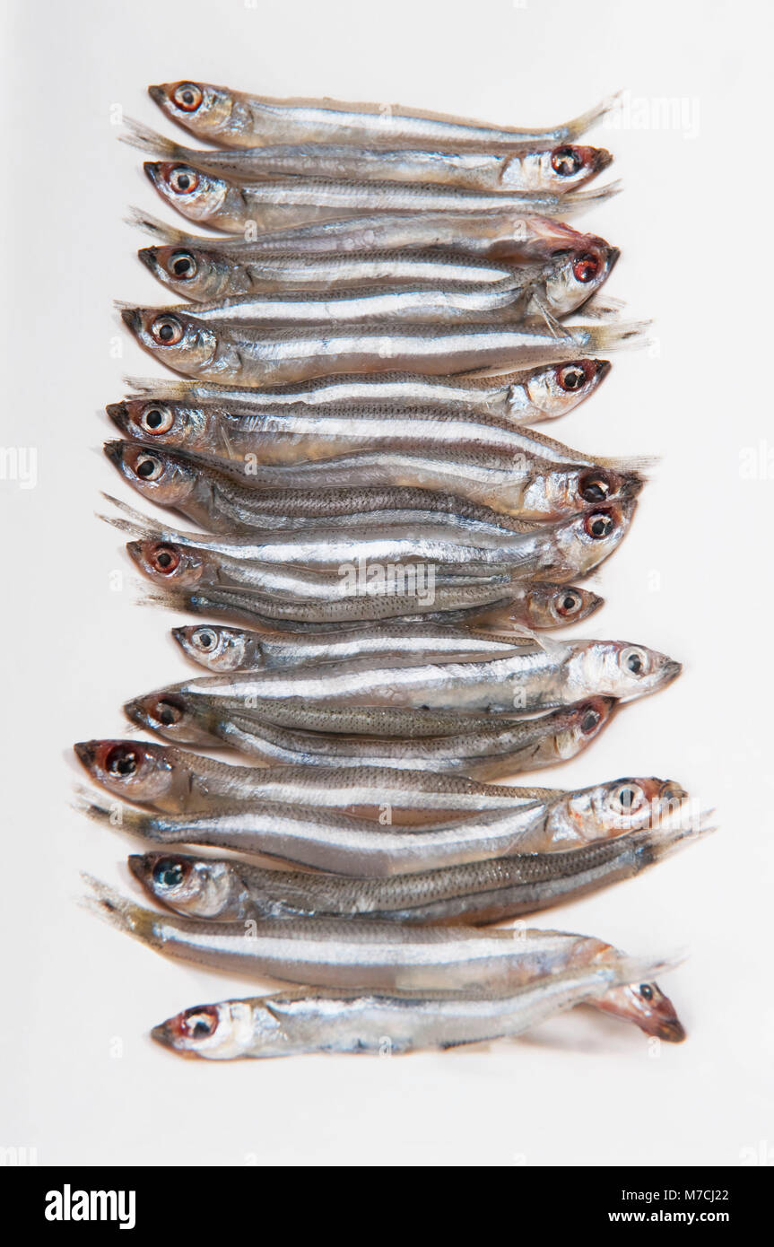 Close Up Of Sardines High Resolution Stock Photography and Images - Alamy