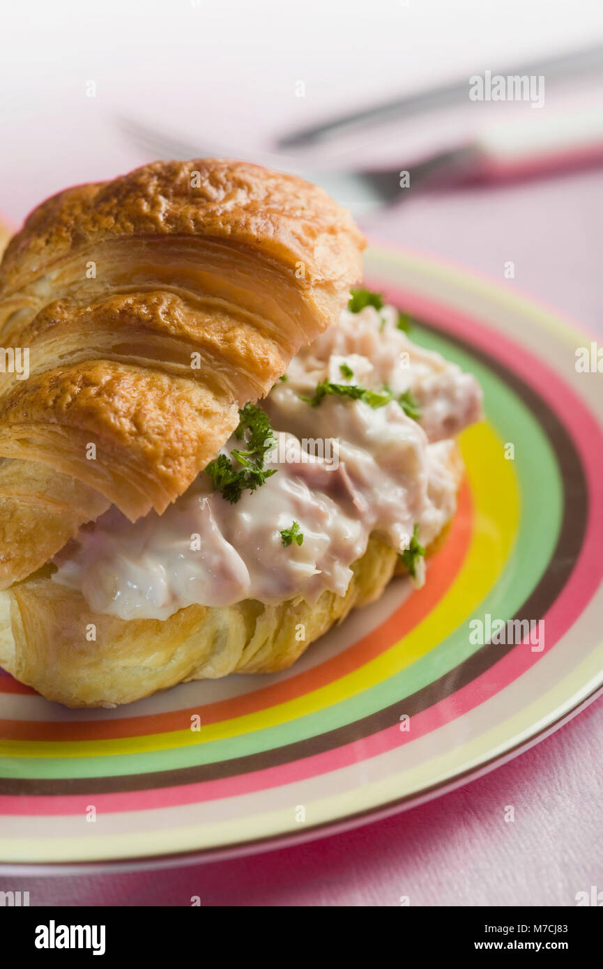 Close-up of a tuna stuffed croissant Stock Photo - Alamy