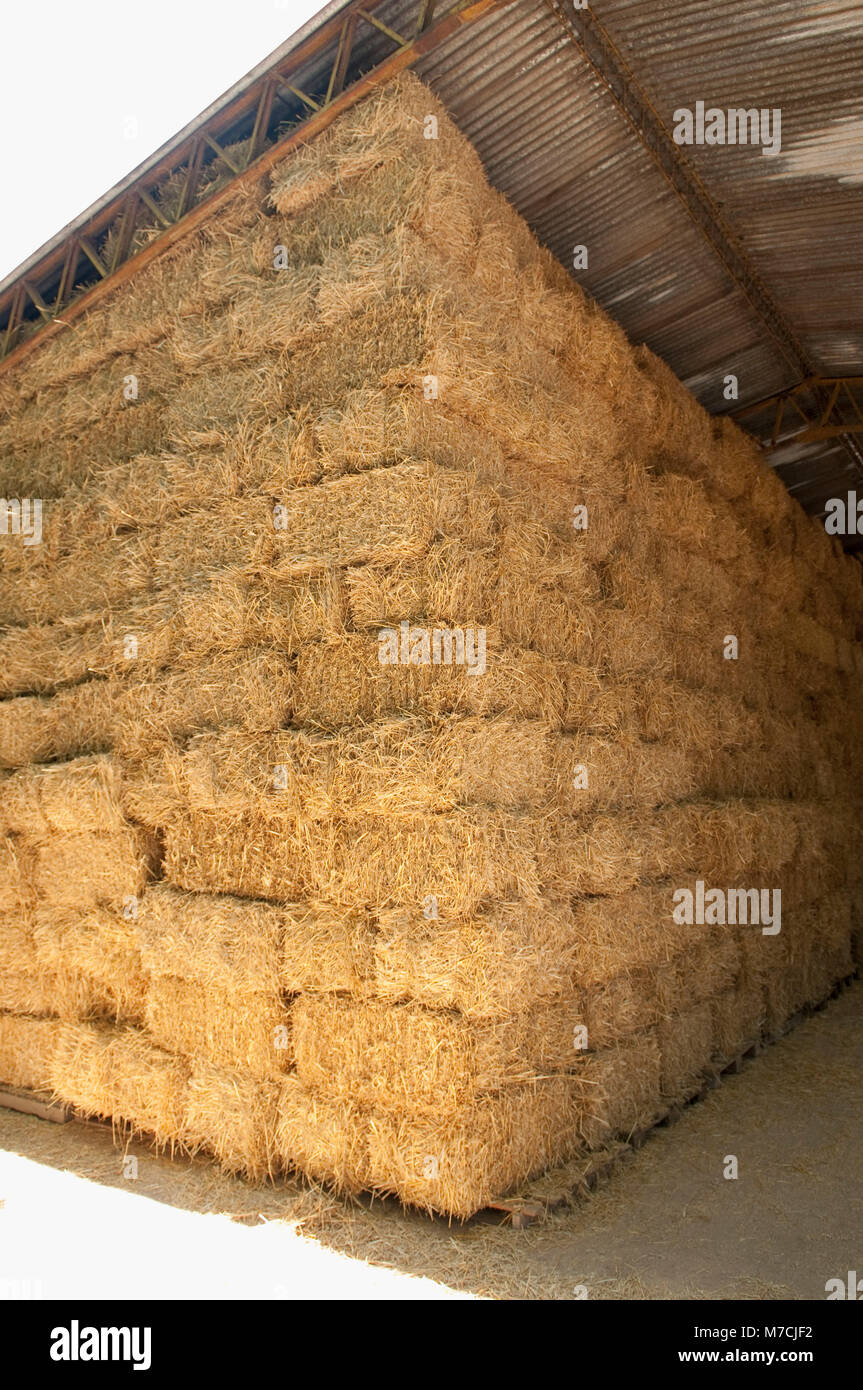 Hay packet hi-res stock photography and images - Alamy