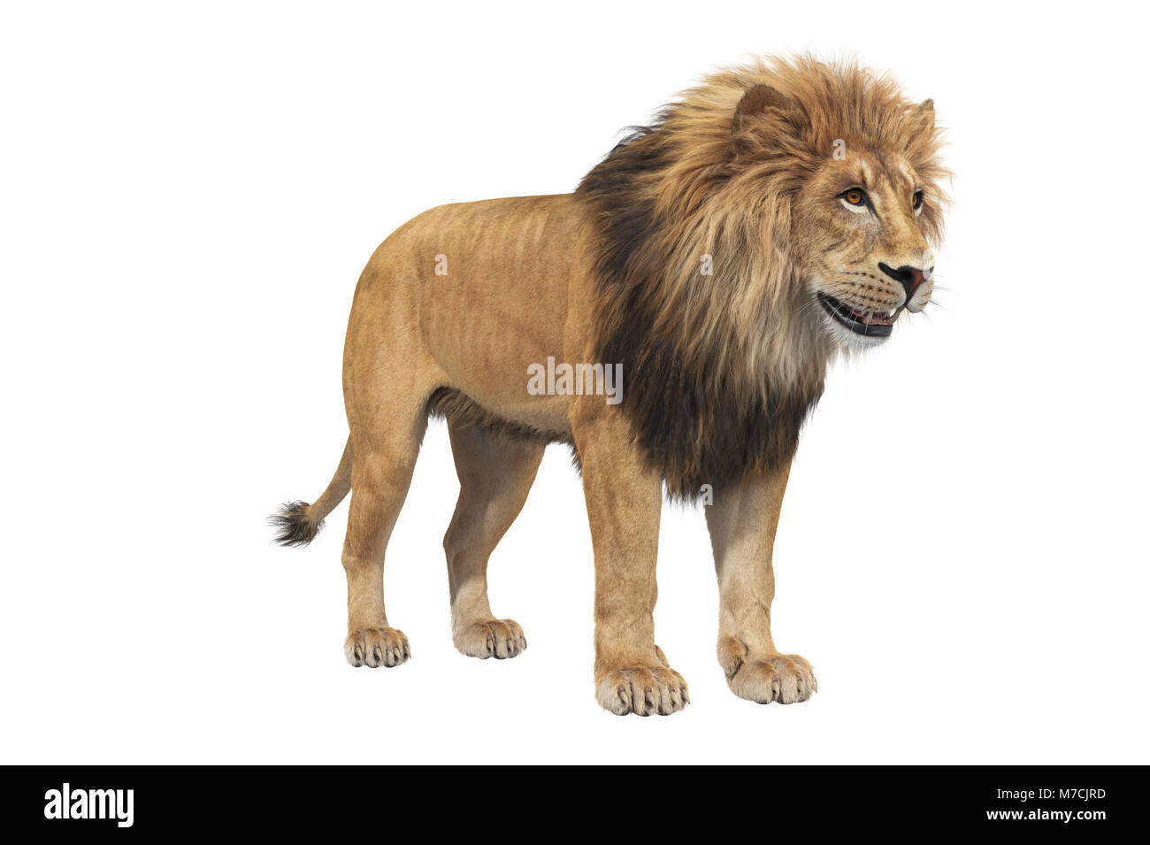 Young male african leader Cut Out Stock Images & Pictures - Alamy