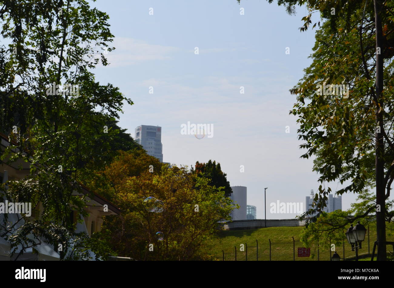 Nature in urban settings Stock Photo - Alamy