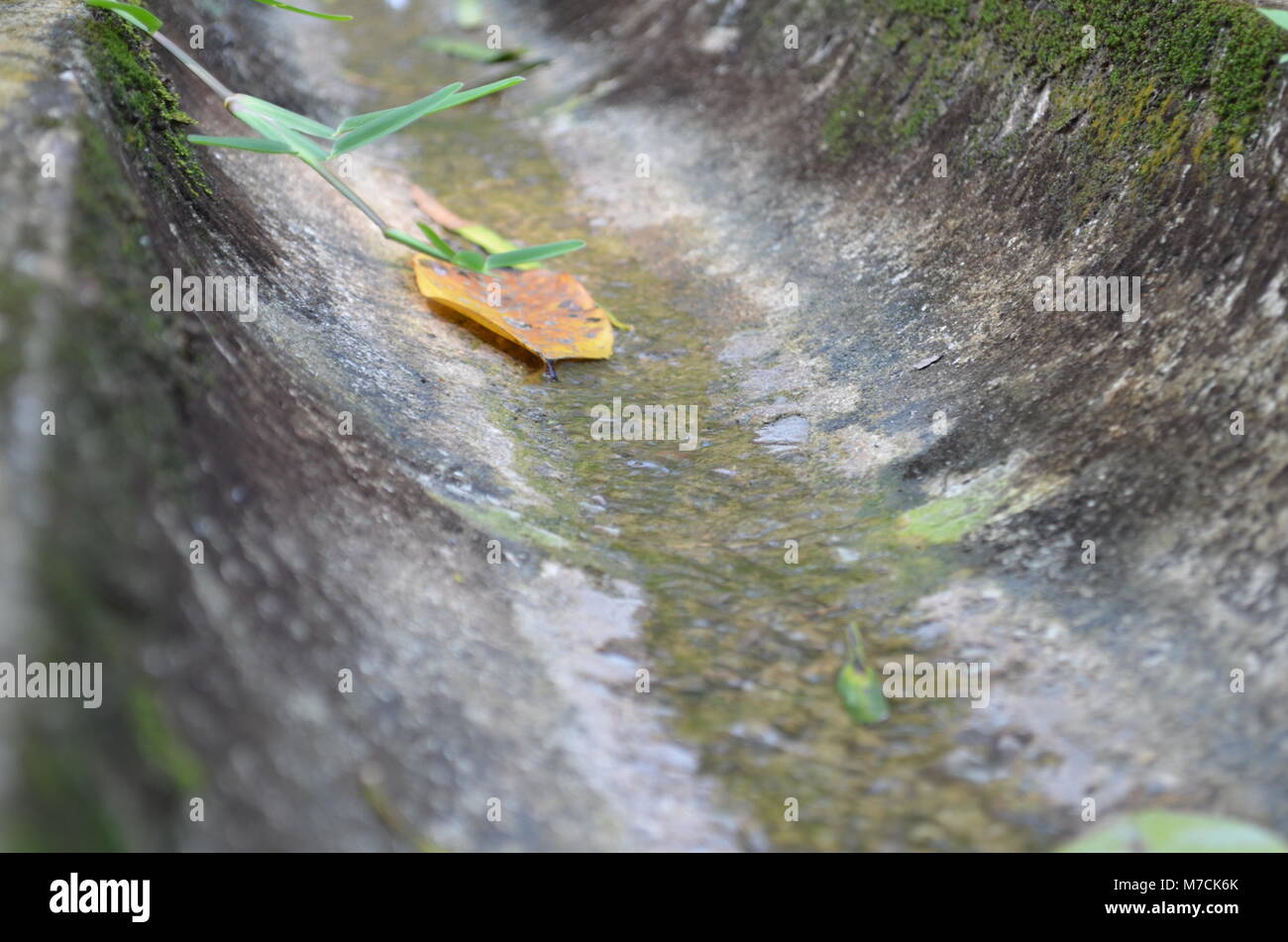 Natural setting running hi-res stock photography and images - Alamy