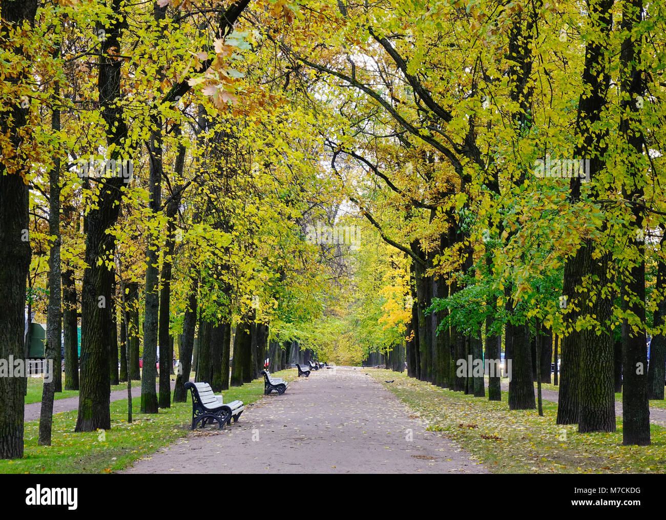 Autumn scene with road and benches in Europe Stock Photo - Alamy