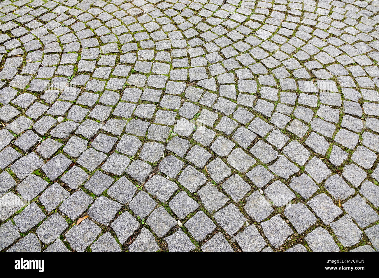 Stone path at the old town in Europe. Texture, close up Stock Photo - Alamy