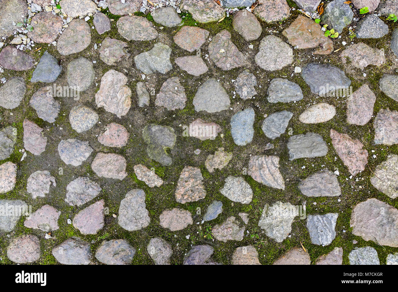 Dirty stone path at the old town in Europe. Texture, close up Stock ...