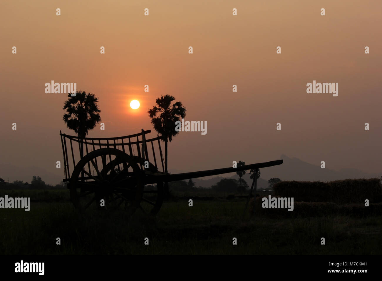 silhouette of bullock cart in field with sunrise background Stock Photo ...