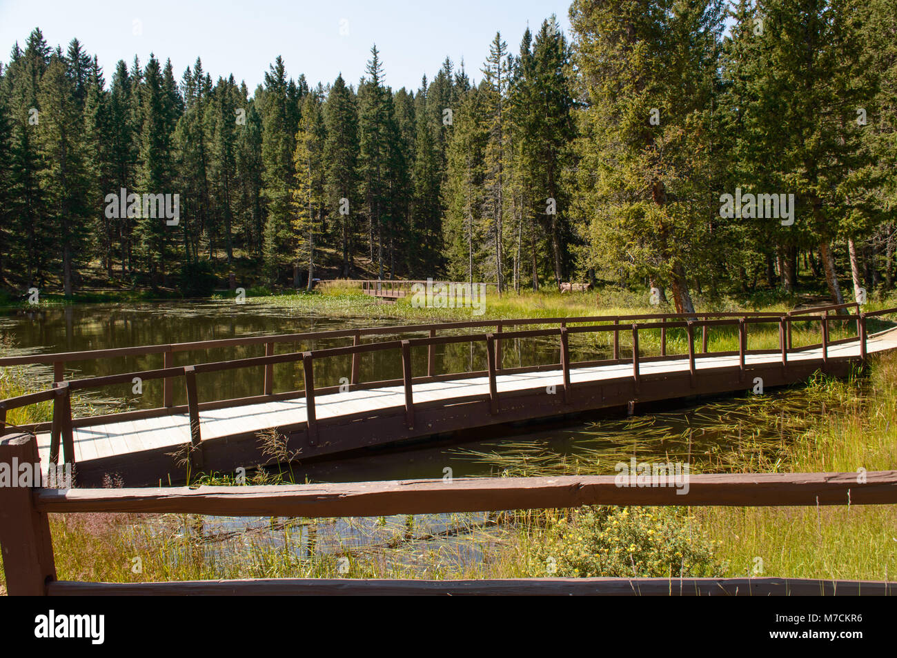 Bridge by a pond hi-res stock photography and images - Alamy