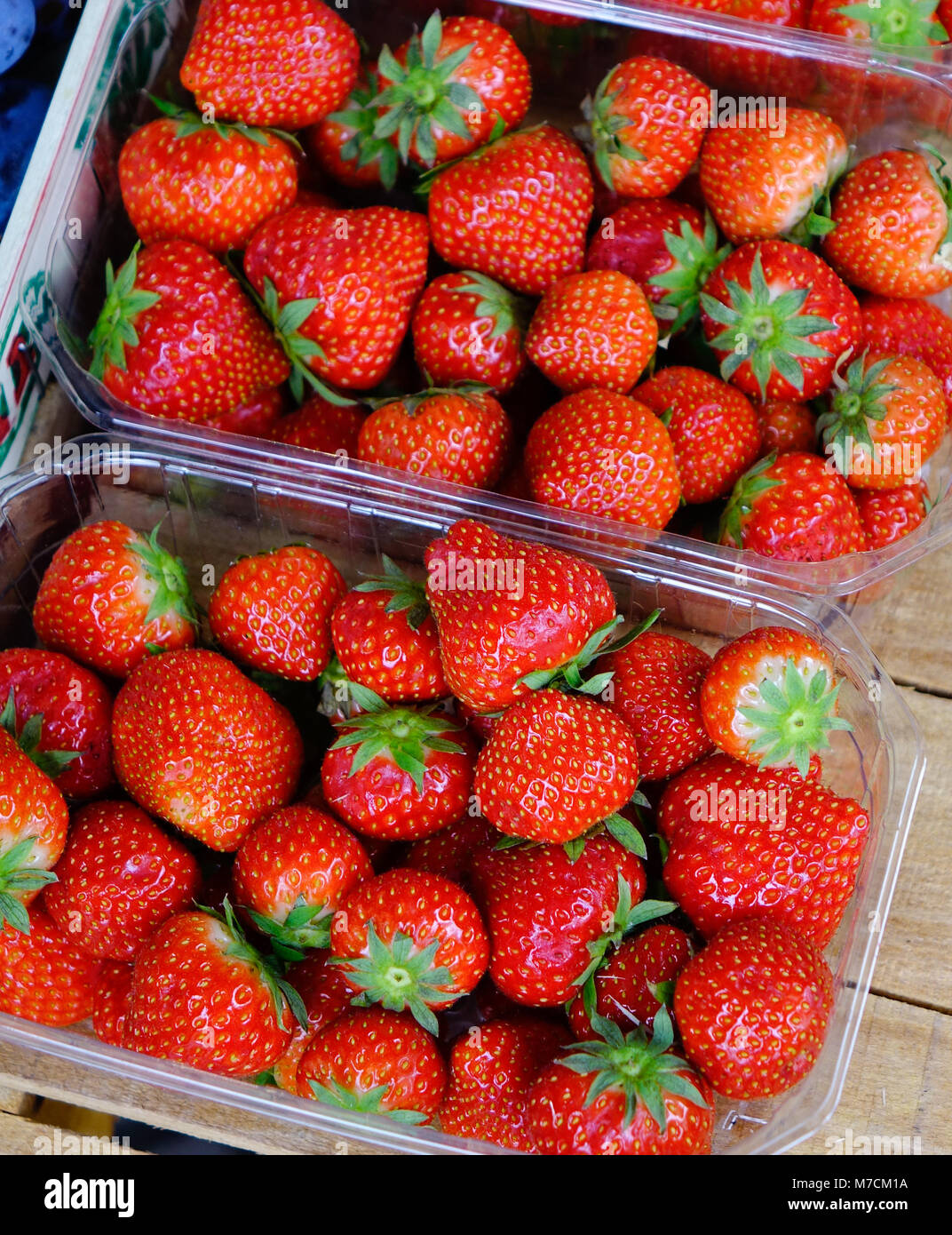 Box of strawberry fruits for sale at the rural market in Russia Stock ...