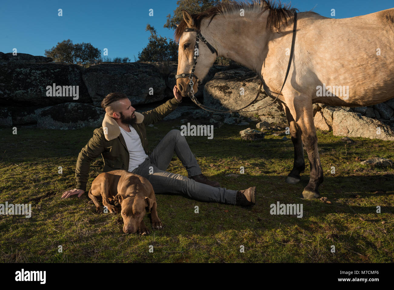 A young tamer with his pitbull dog and his horse in the countryside in ...