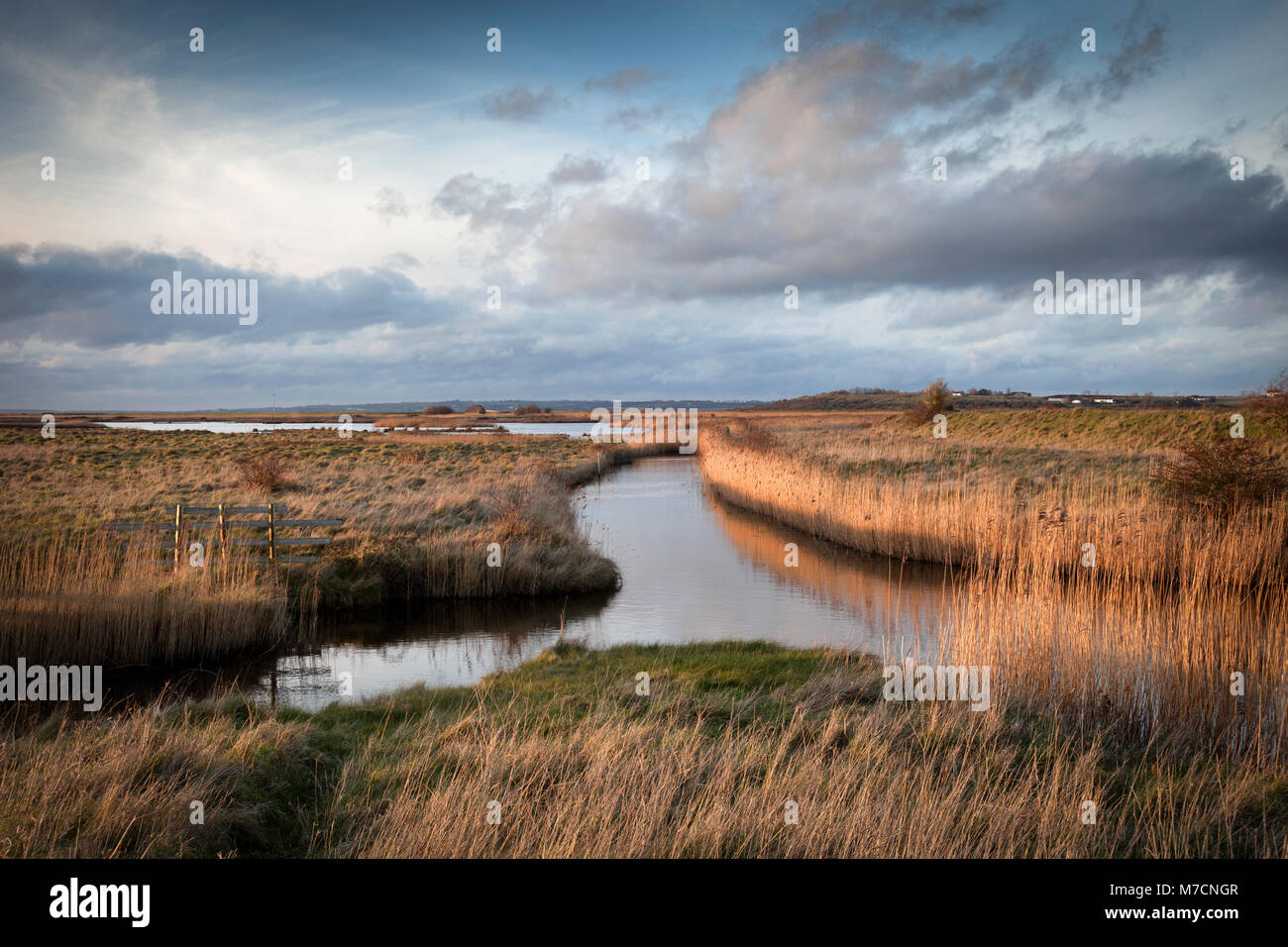 Beautiful light at Oare Marshes on the Swale, near Faversham, on the ...
