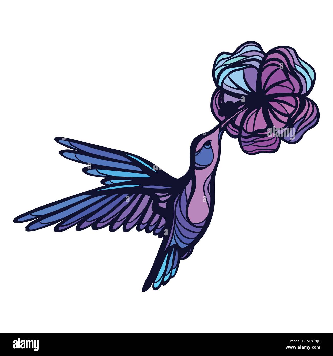 Flying tropical hummingbird on white background with flower Stock ...