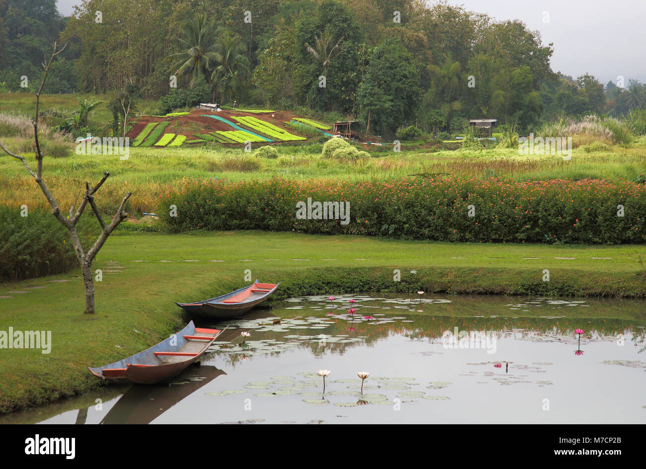 small farm near luang prabang laos Stock Photo - Alamy