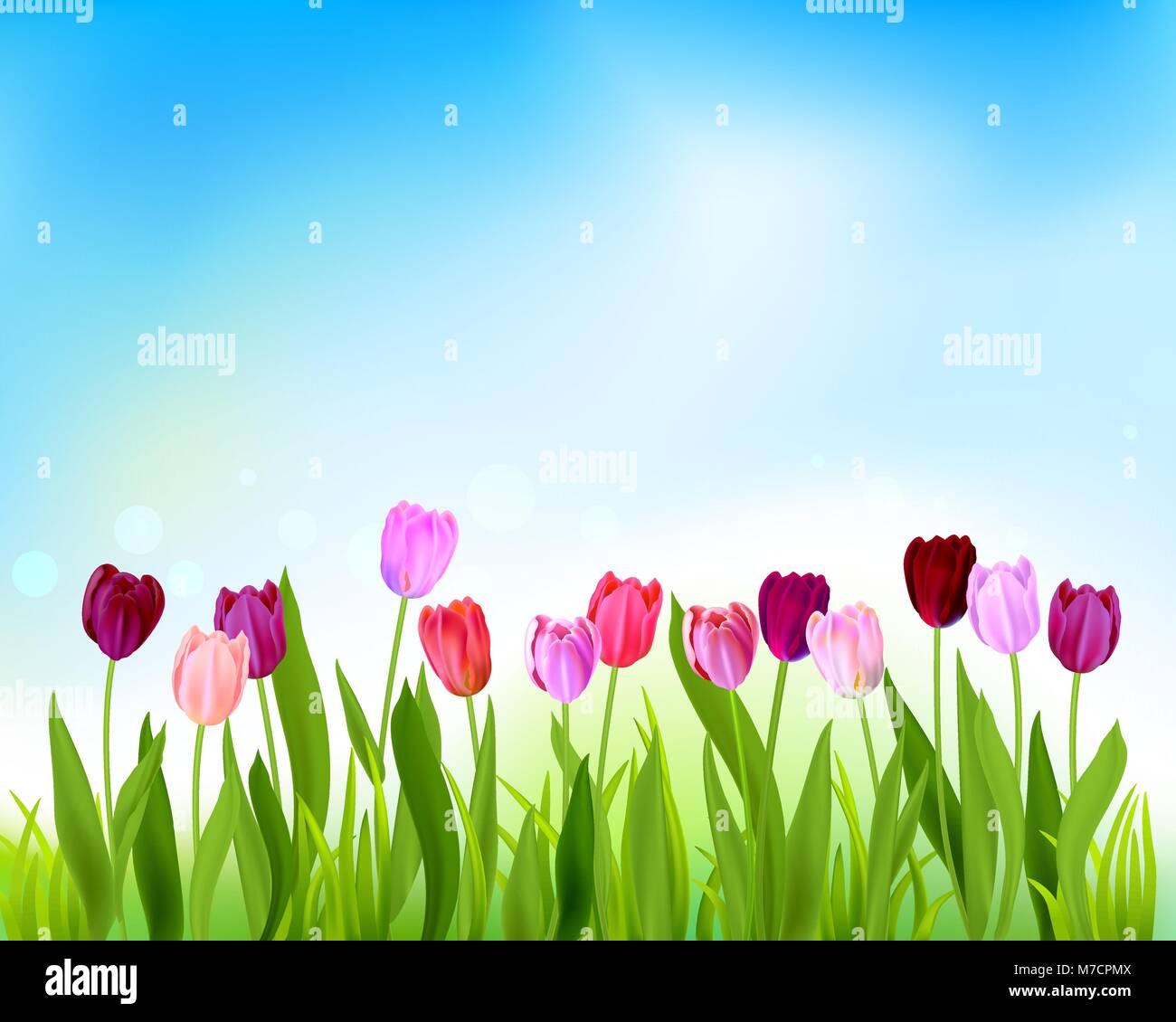 Tulip art hi-res stock photography and images - Alamy