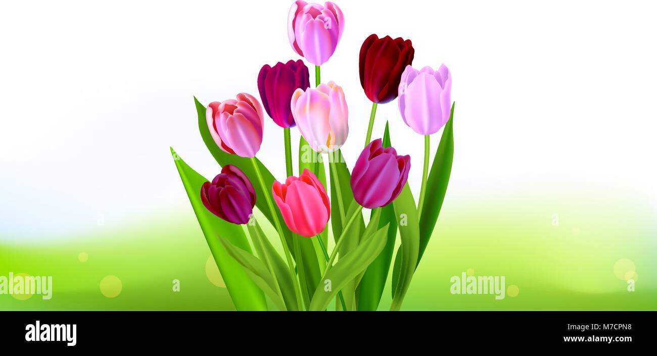 Realistic flower background Stock Vector Images - Alamy