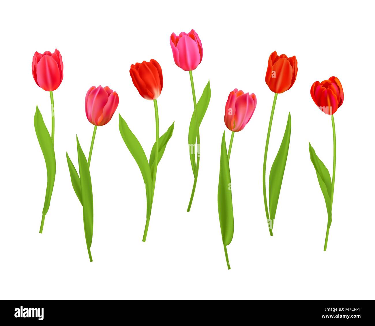 Beautiful space background elements Stock Vector Images - Alamy