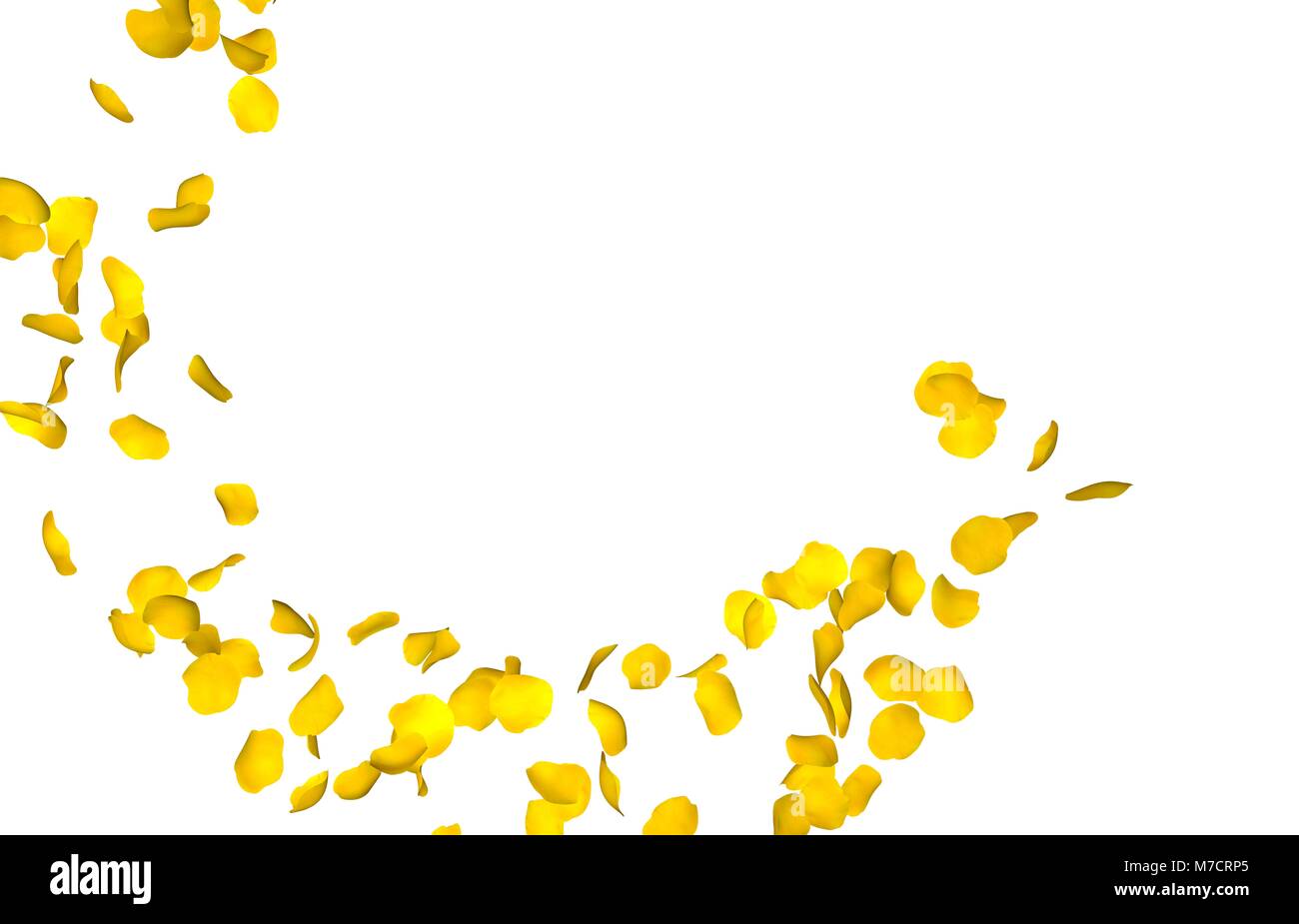 Yellow rose petals fly in a circle. The center free space for Your ...