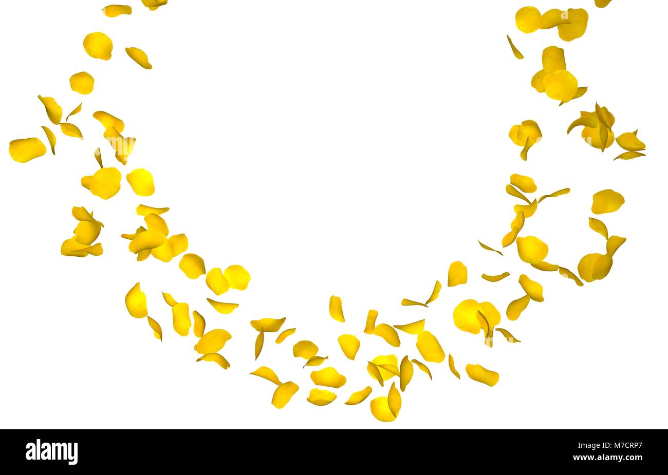 Yellow rose petals fly in a circle. The center free space for Your ...