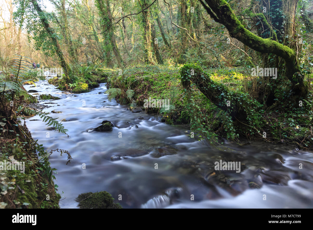 Cornish natural spring water hi-res stock photography and images - Alamy