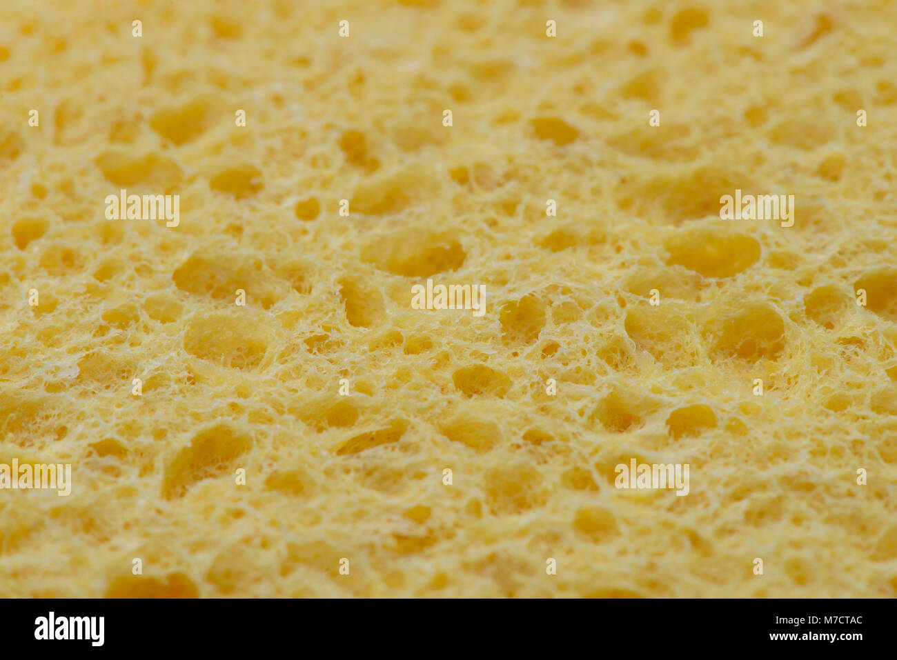 Yellow sponge detail texture background Stock Photo - Alamy